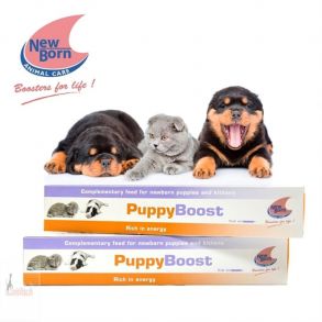 Reproduktion - Dummyshoppen.dk